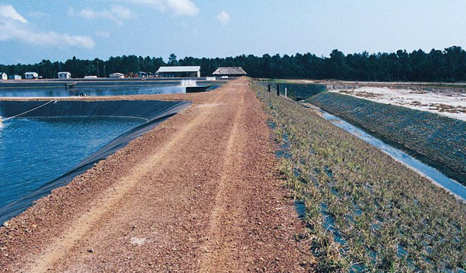 Changing paradigms in shrimp farming, part 3 - Responsible Seafood Advocate