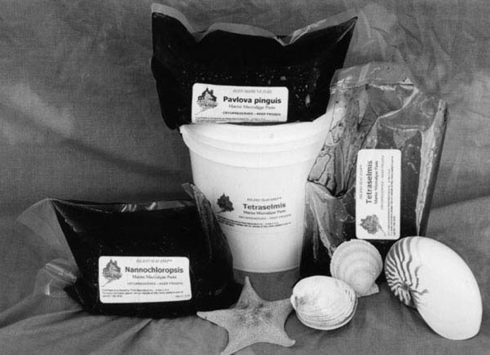 Microalgae paste: A new paradigm in larval feeds - Responsible Seafood ...