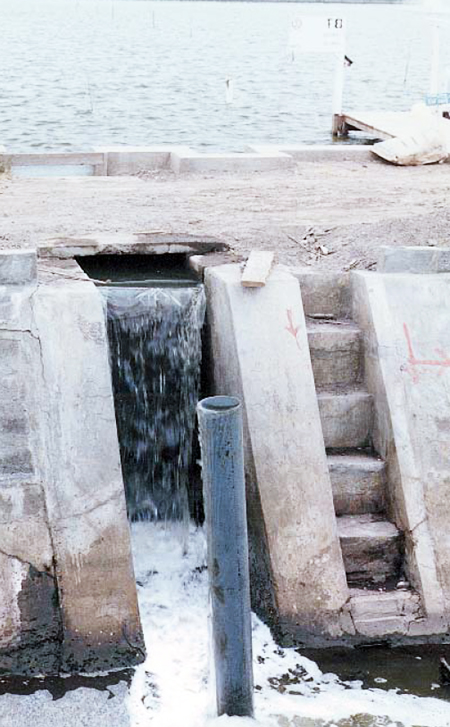 Farm effluent during draining for harvest - Responsible Seafood Advocate