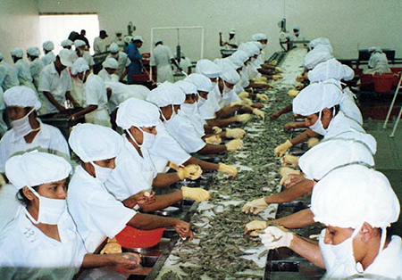 Design considerations for a modern shrimp-cooking facility ...