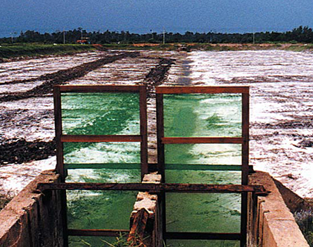 Water composition and shrimp pond management - Responsible Seafood Advocate