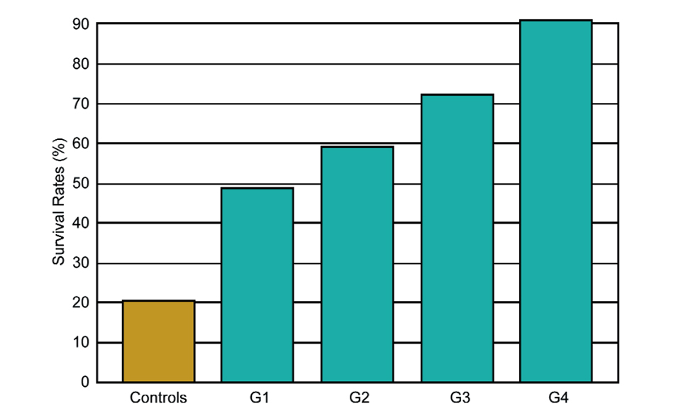 Breeding shrimp for fast growth and virus resistance - Responsible ...