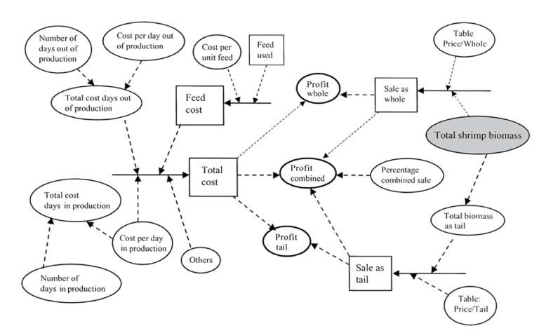 Shrimp production simulation models - Responsible Seafood Advocate