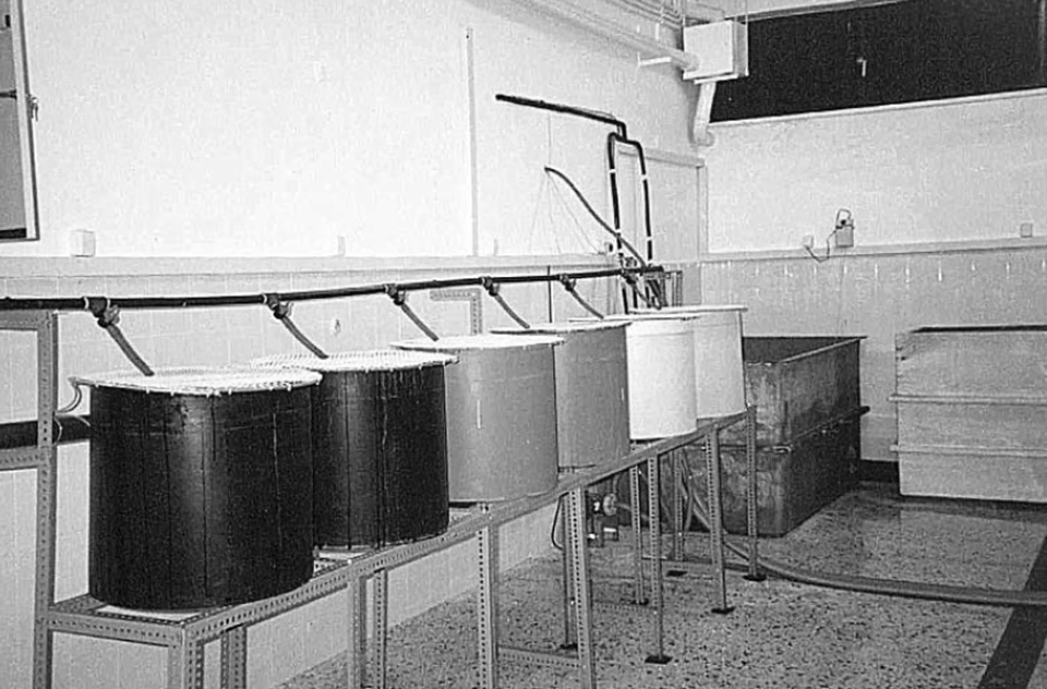 Color of indoor tanks can affect stress and performance - Responsible ...