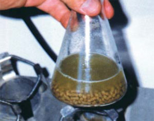 Chemoreception in the aquatic environment: A primer - Responsible ...