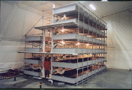 Hyper-intensive fish farming - Responsible Seafood Advocate