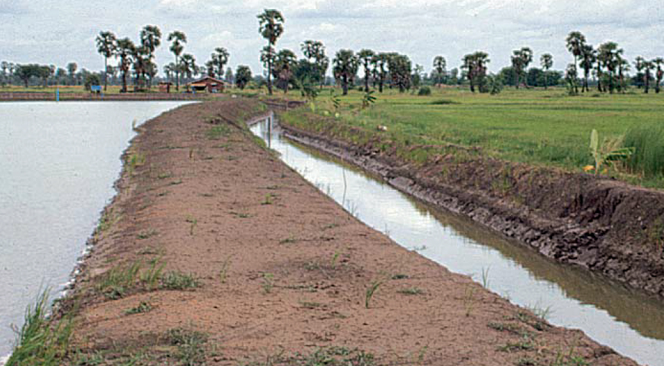 Inland shrimp farming and the environment - Responsible Seafood Advocate