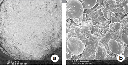 Preconditioning shrimp feeds, Part 2 - Responsible Seafood Advocate