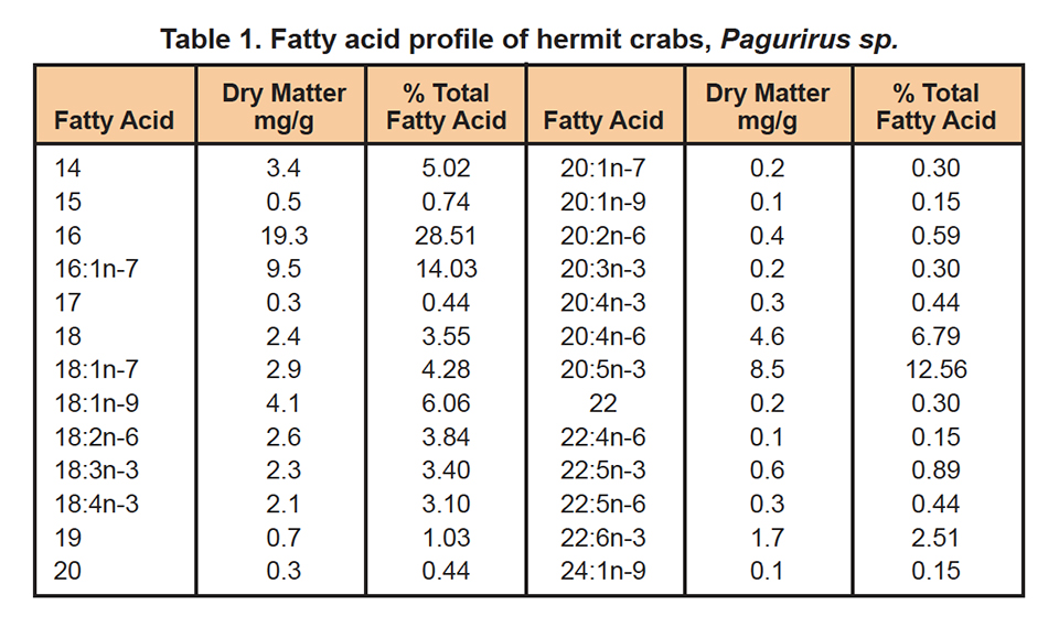 Hermit crabs: Maturation diet for shrimp broodstock - Responsible ...