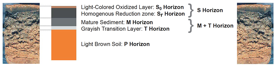 Sediment accumulation in earthen shrimp ponds - Responsible Seafood ...