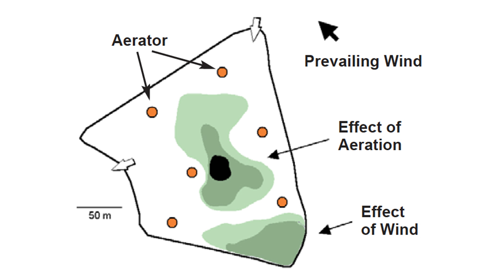 Sediment accumulation in earthen shrimp ponds - Responsible Seafood ...