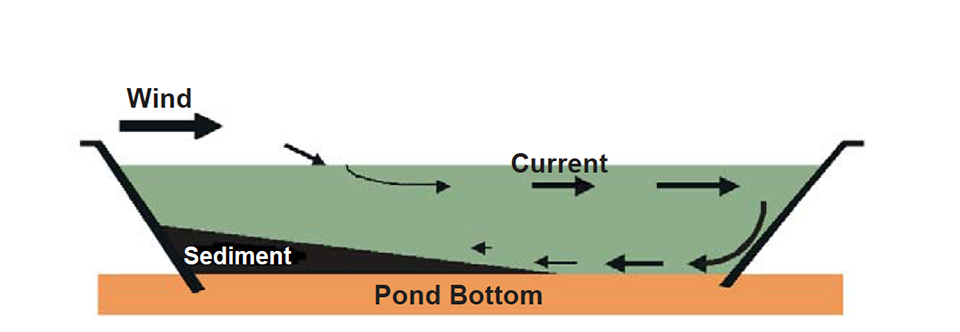 Sediment accumulation in earthen shrimp ponds - Responsible Seafood ...