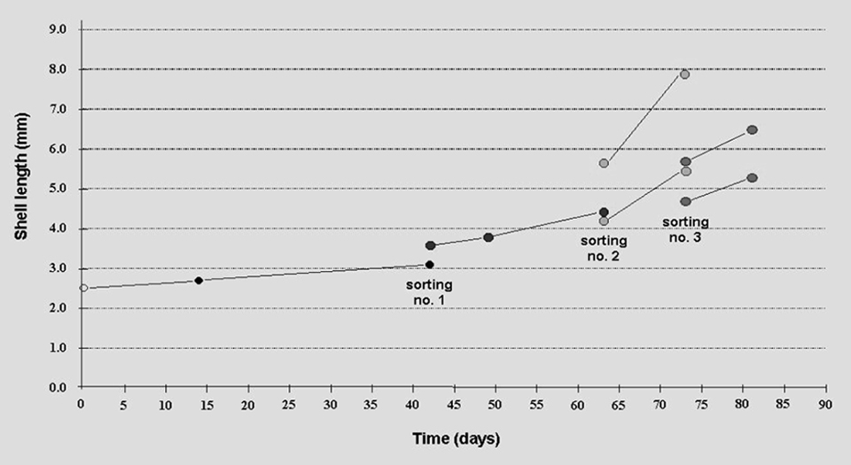 Integrated system for microalgae, nursery seed clam culture ...