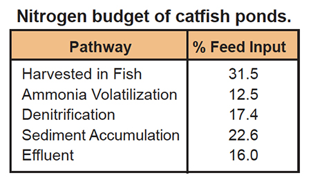 Nitrogen and phosphorus loads vary by system - Responsible Seafood Advocate