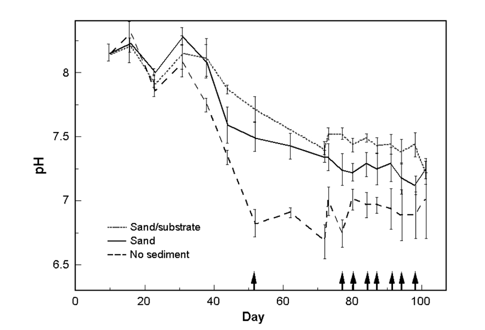 Effects of sand, sediment, vertical surfaces on intensive shrimp ...