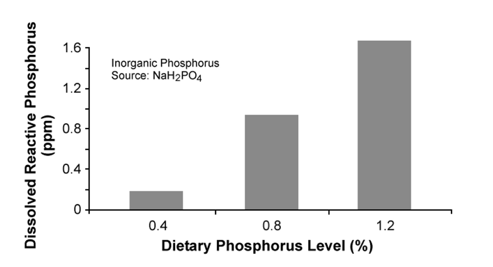 Shrimp production systems with low/no water exchange - Responsible ...