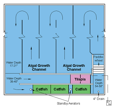 Partitioned aquaculture systems - Responsible Seafood Advocate