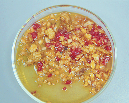 An evaluation of soybean meal quality - Responsible Seafood Advocate