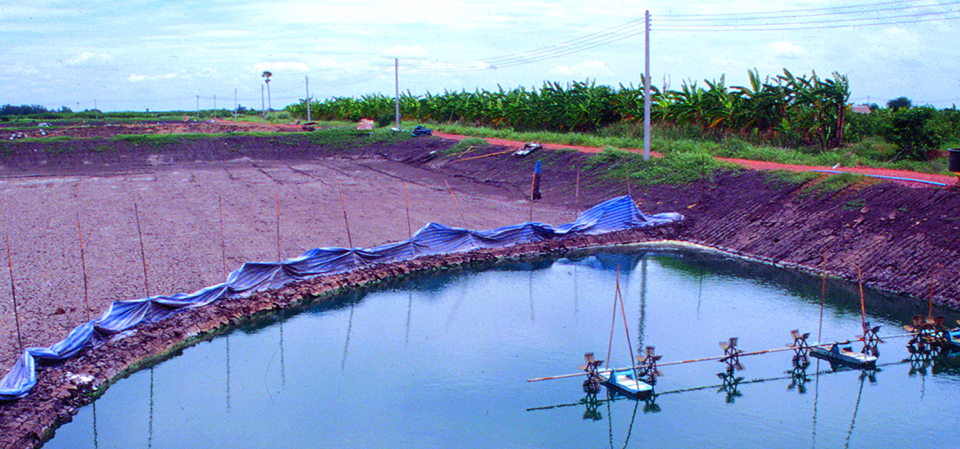 Dissolved salts in water for inland, low-salinity shrimp culture ...