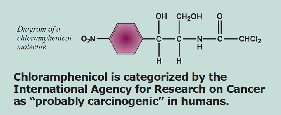 Chloramphenicol in shrimp: Europe as food safety utopia - Responsible ...