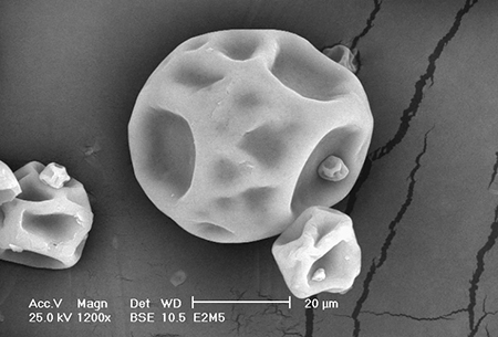 Microencapsulated, composite-wall diets compare well to commercial ...