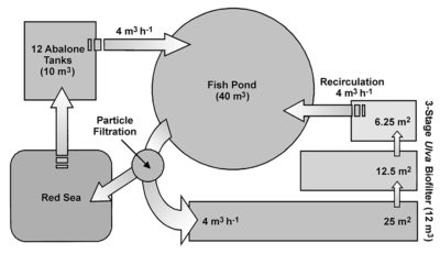 Integrated fish-seaweed culture systems - Responsible Seafood Advocate