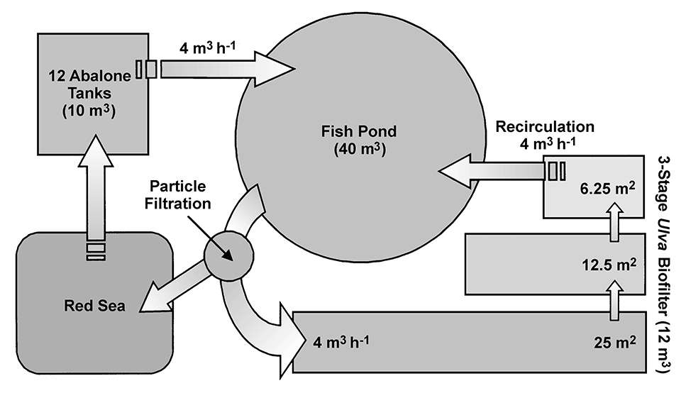Integrated fish-seaweed culture systems - Responsible Seafood Advocate