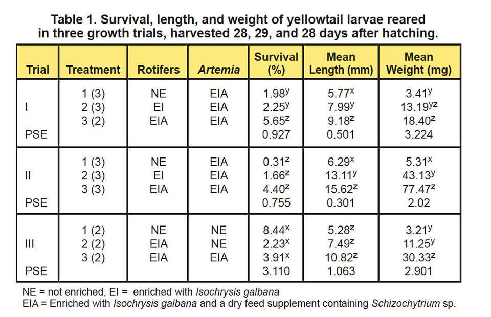 Live food enrichments enhance diets for larval yellowtail snappers ...