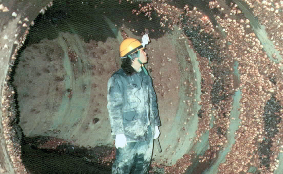 Blue mussel extracts stimulate flounder feeding - Responsible Seafood ...