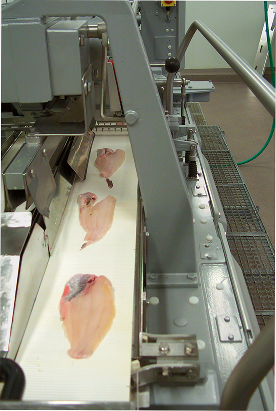 CLA-enriched diets improve health benefits of catfish fillets ...