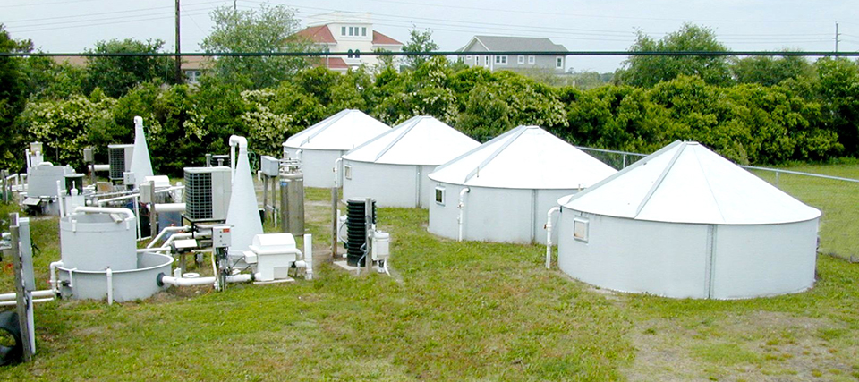 Microbead media offers low cost, efficiency in RAS biofilters ...