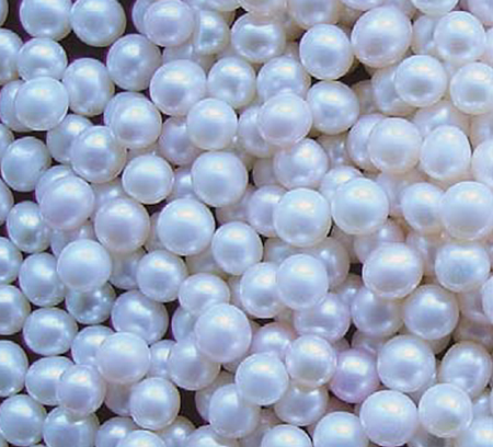 Freshwater pearl culture in China - Responsible Seafood Advocate