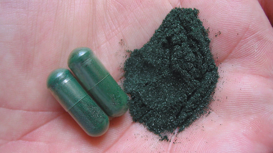 New ingredients for shrimp feeds, Part 2 - Responsible Seafood Advocate