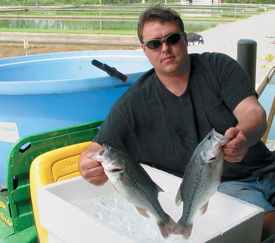 Culture of largemouth bass in the United States - Responsible Seafood ...