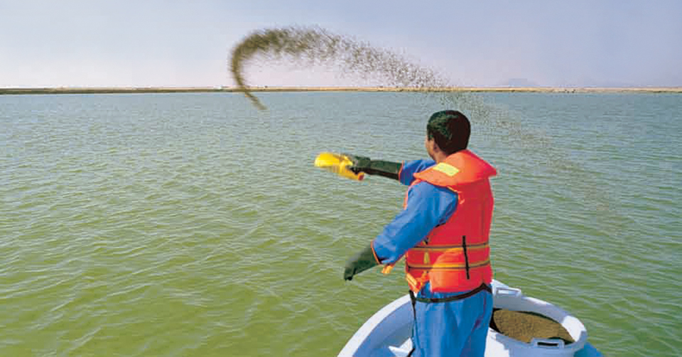 Integrated NPC project cultures shrimp in Saudi Arabia - Responsible ...