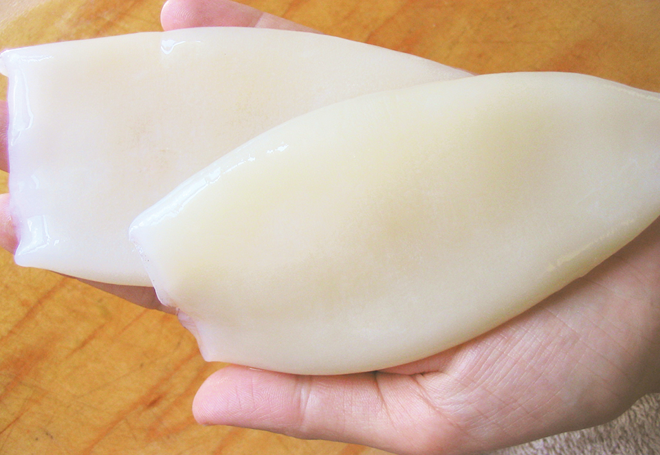 Recovery of collagen from squid skin - Responsible Seafood Advocate