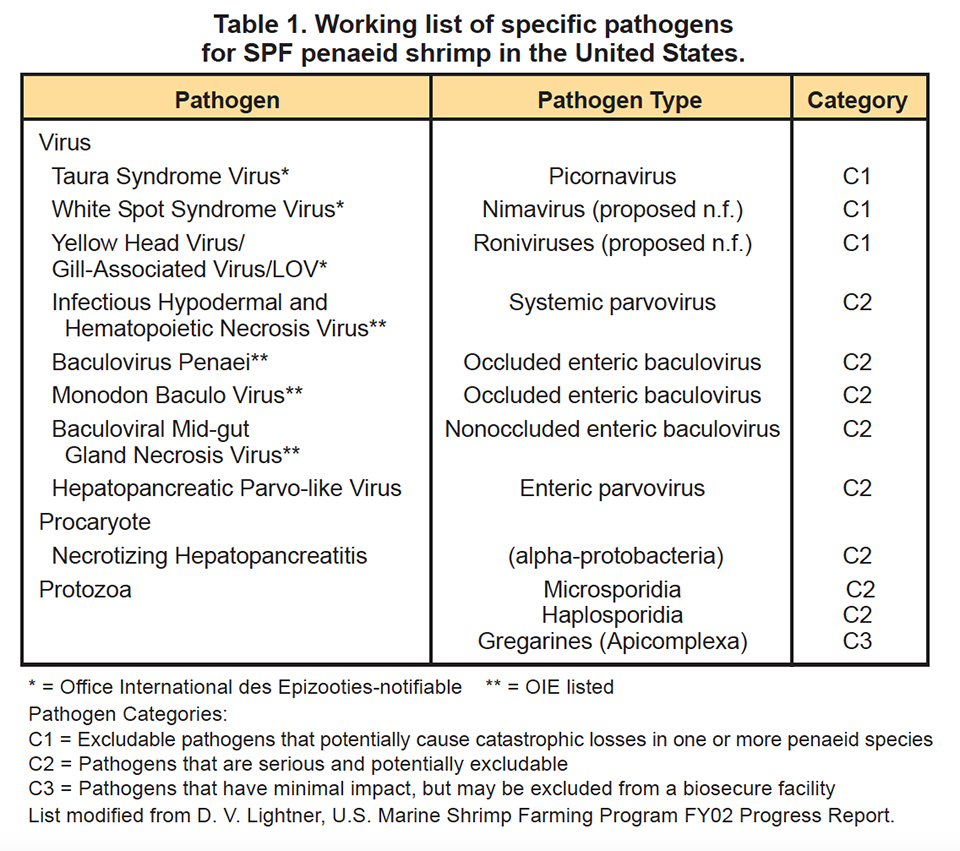SPF-defined pathogen-free status of shrimp limited - Responsible ...