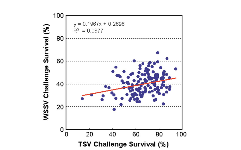 Quantitative, molecular genetic selection for shrimp disease resistance ...