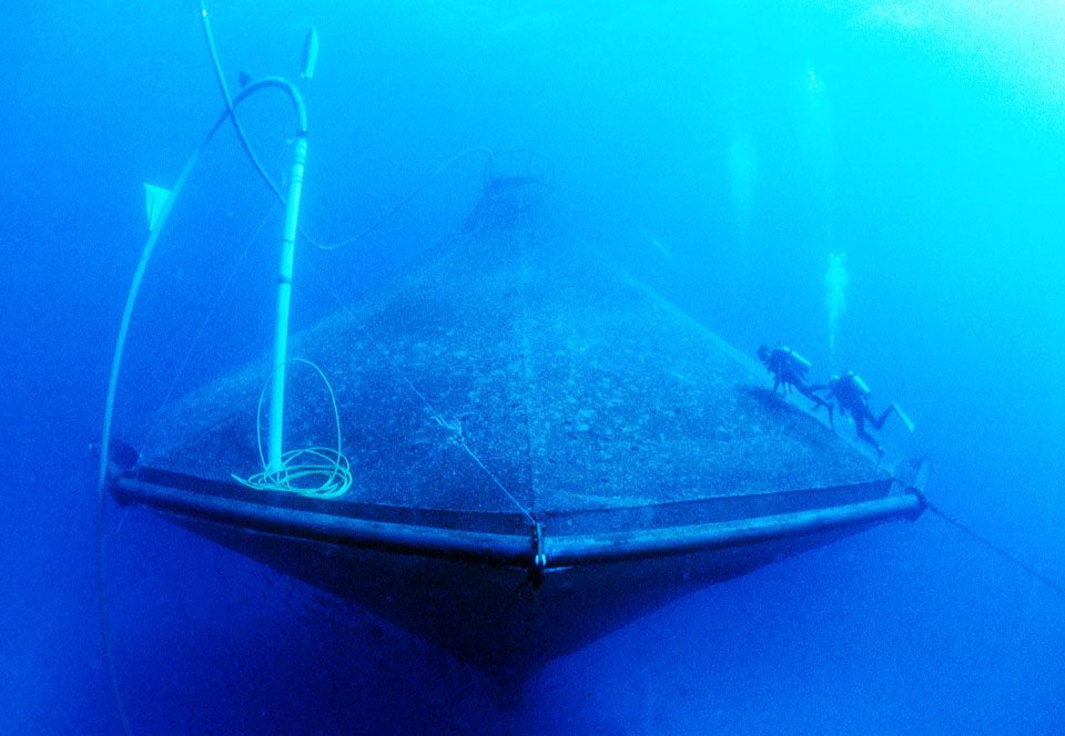 Amberjack culture progresses at Oceanic Institute - Responsible Seafood ...