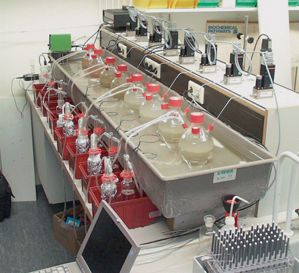 Protein content of fish feed affects water quality - Responsible ...