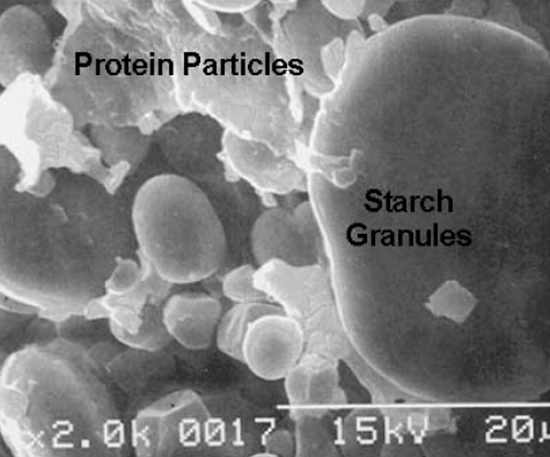 Extrusion processing of aquatic feeds, Part 1 - Responsible Seafood ...