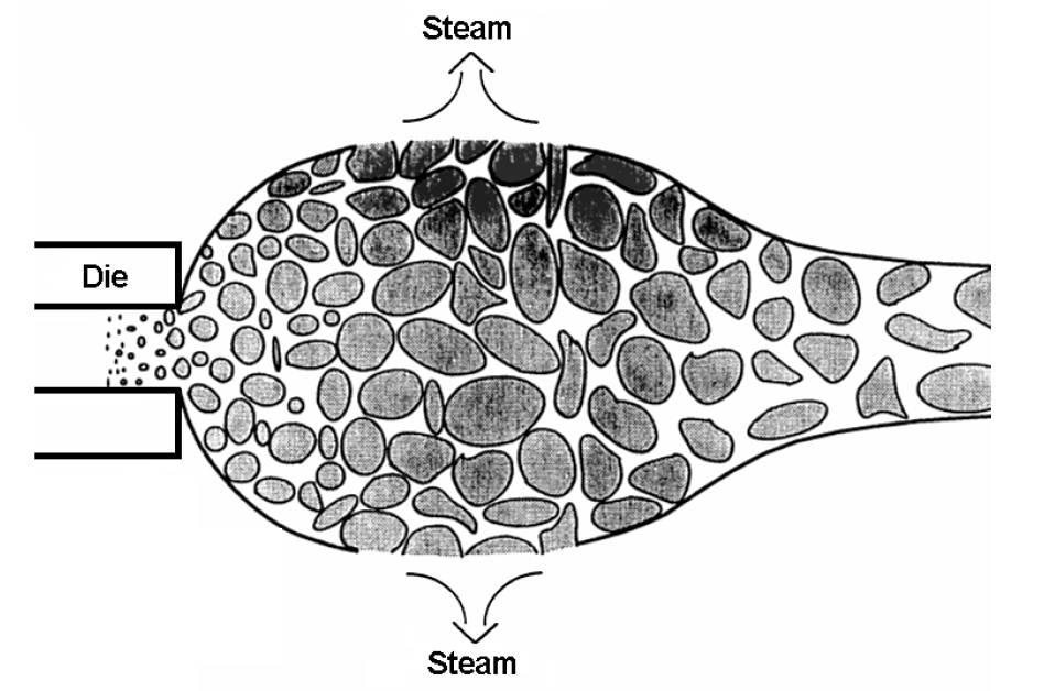 Extrusion processing of aquatic feeds, Part 1 - Responsible Seafood ...