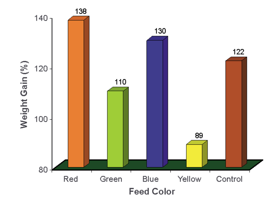 Feed color affects growth, feed utilization of Nile tilapia ...