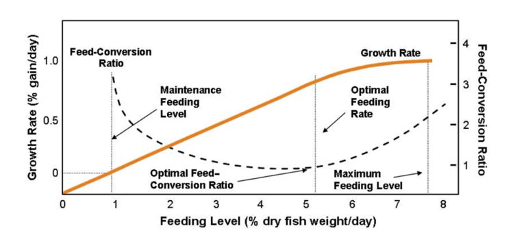 Best management practices for salmon feeds - Responsible Seafood Advocate
