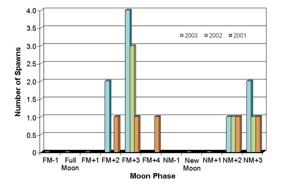 Moon phases influence snook spawning, egg quality - Responsible Seafood ...