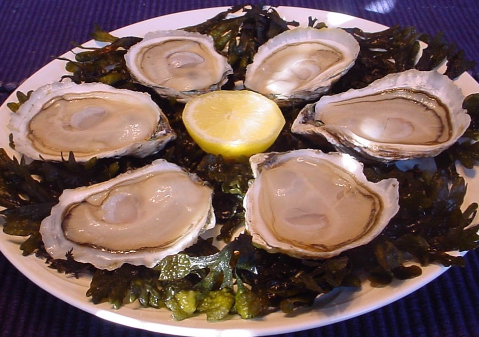 Improving shellfish aquaculture through triploidy - Responsible Seafood ...