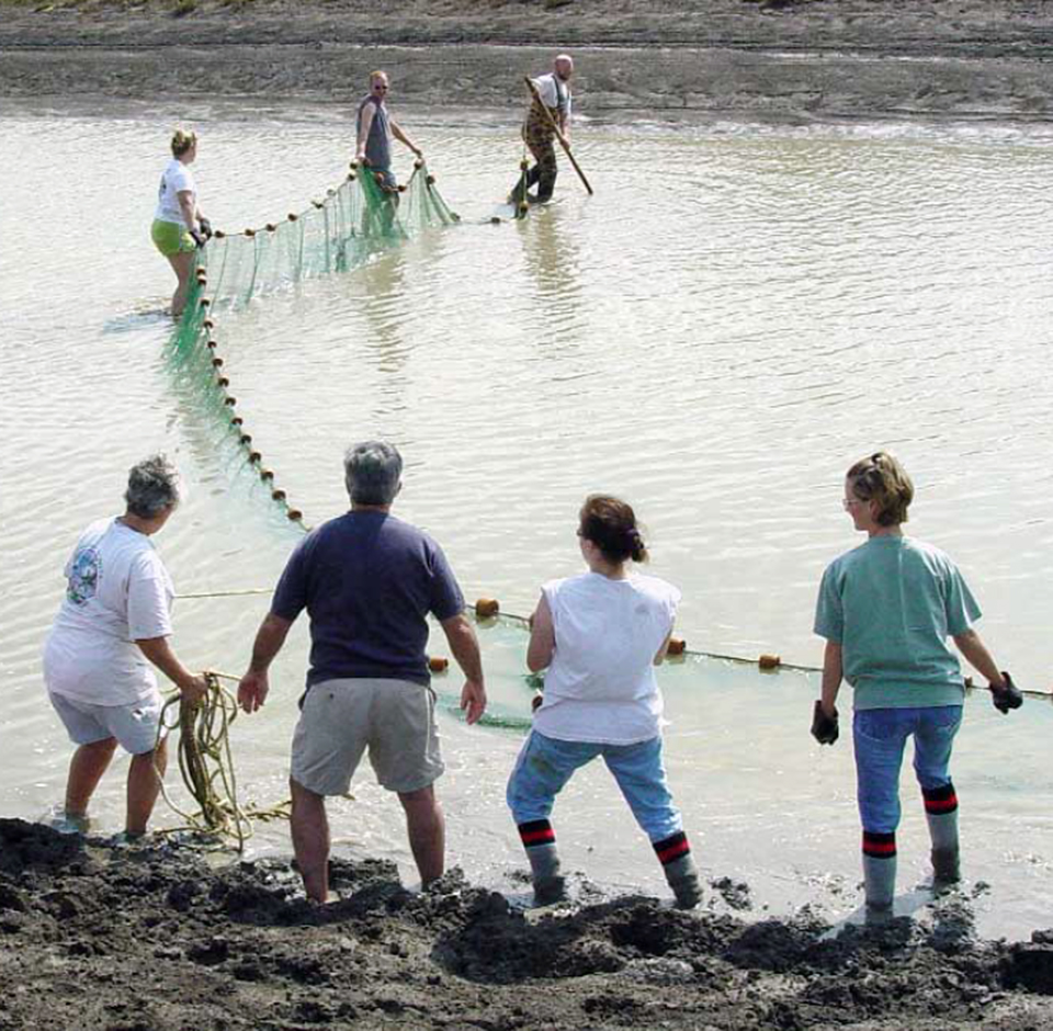 Freshwater prawn culture in the United States? - Responsible Seafood ...