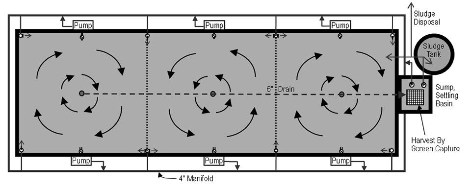 Mixed-cell raceways offer best of two water worlds - Responsible ...