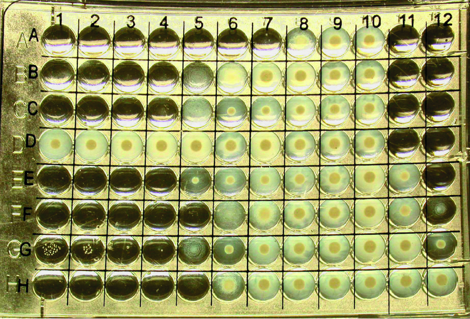 Aquaculture working group standardizes methods for bacteria testing ...