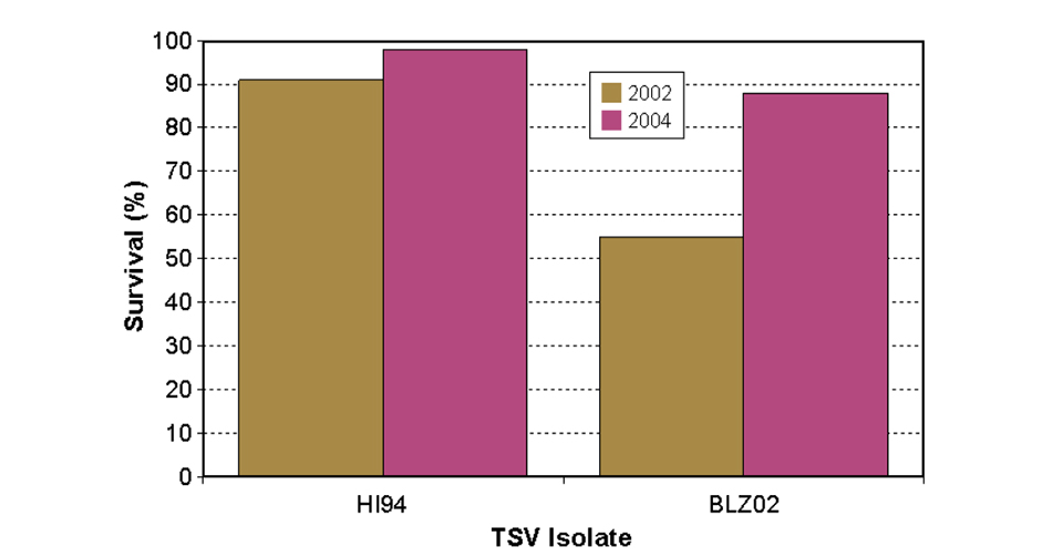 TSV challenges advance selective breeding in Pacific white shrimp ...